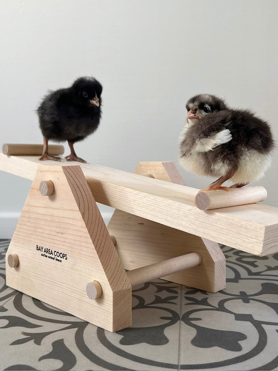 Bay Area Coops | Pet Toys - "Mt Tam Chick Teeter"