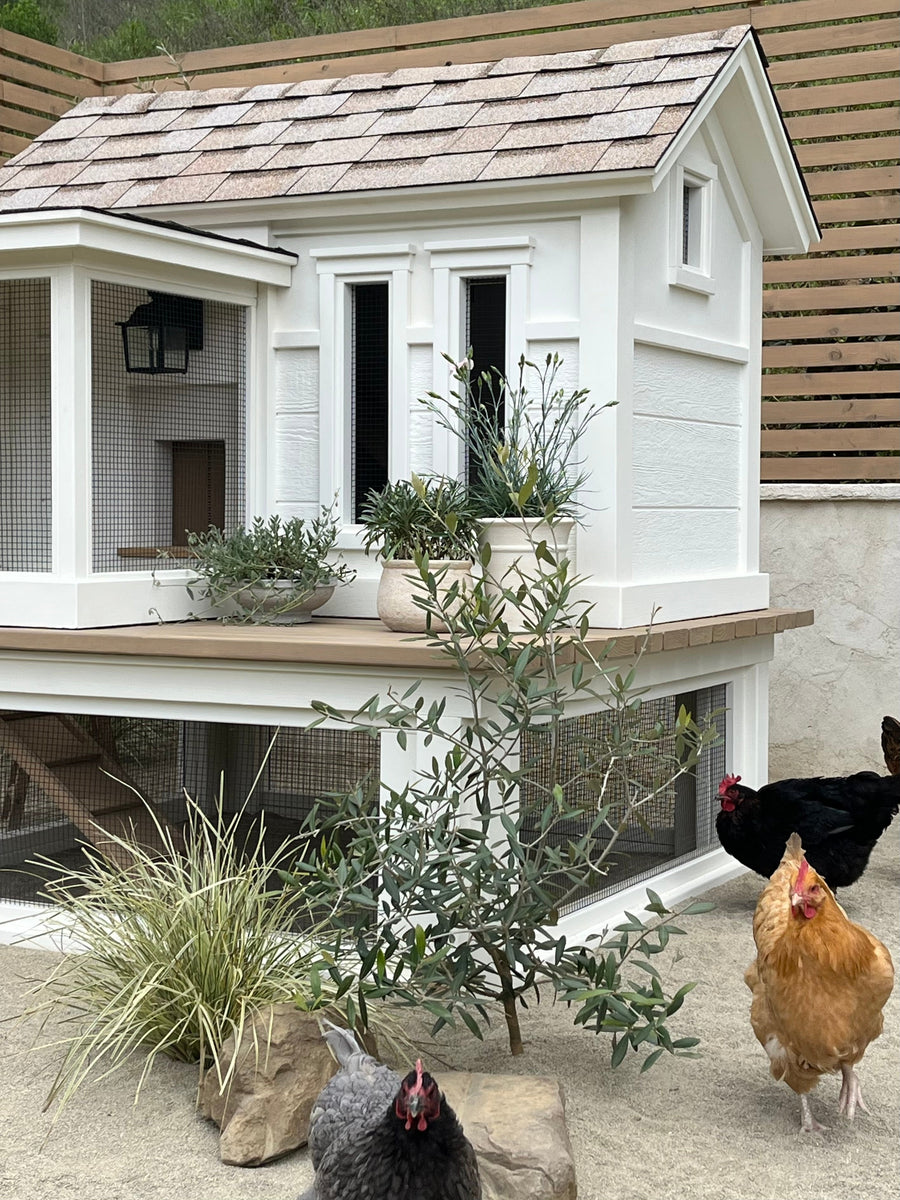 Bay Area Coops | Limited Edition Chicken Coop - "Pacific Farmhouse- Run ...